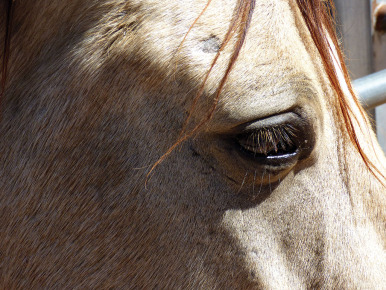 Nancy Lammers: Mystic undefined – QuailCreekCrossing.com